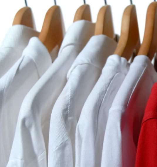 Servicios – BROTEX Comercializadora